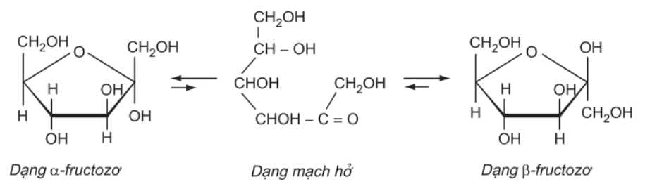 [TÌM HIỂU] Glucozo Va Fructozo - Học Tập Việt Nam