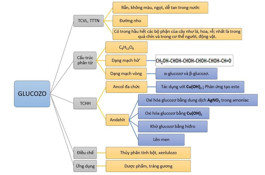 [TÌM HIỂU] Sơ Đồ Tư Duy Glucozo - Học Tập Việt Nam