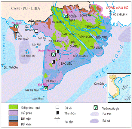 [GIẢI ĐÁP] Cây Dừa Được Trồng Chủ Yếu Ở Vùng Nào?